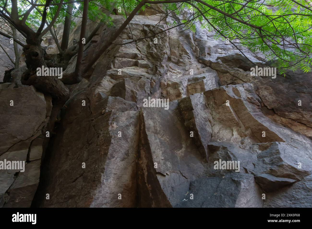 Welded tuff, massive volcanic pink rocks of Rao Jodha Desert Rock Park ...