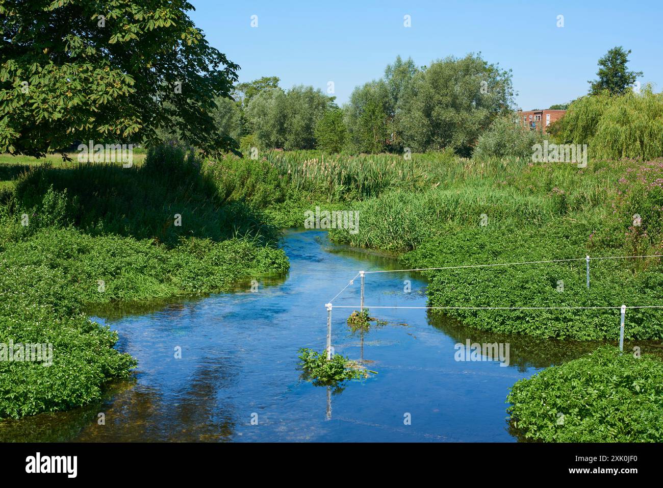 The River Bulbourne, Boxmoor, Hemel Hempstead, Hertfordshire UK ...