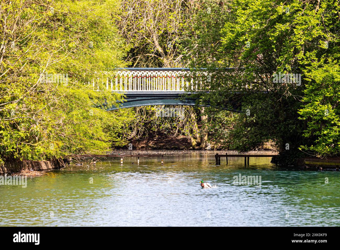 West park in wolverhampton hi-res stock photography and images - Alamy
