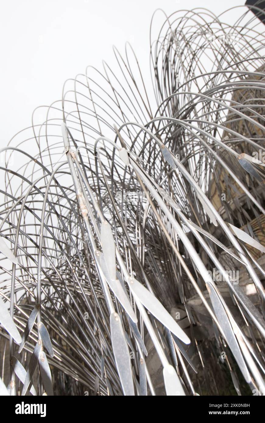 "Tree of Life" leaves contain names of holocaust victims - Dohany ...