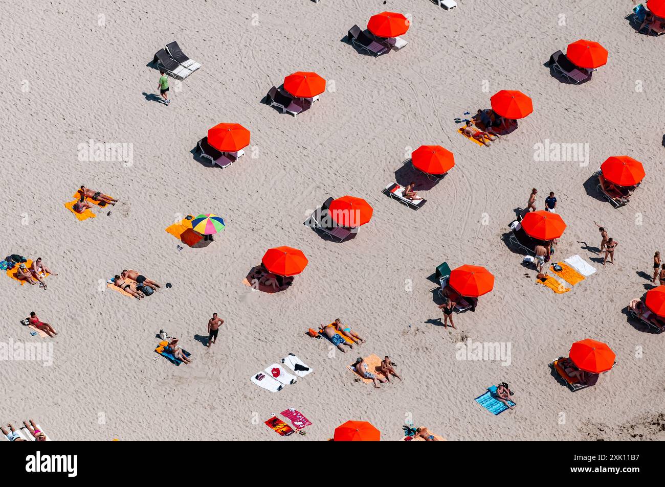 Aerial view of sandy beach Umbrellas on the beach in Miami. Aerial view ...