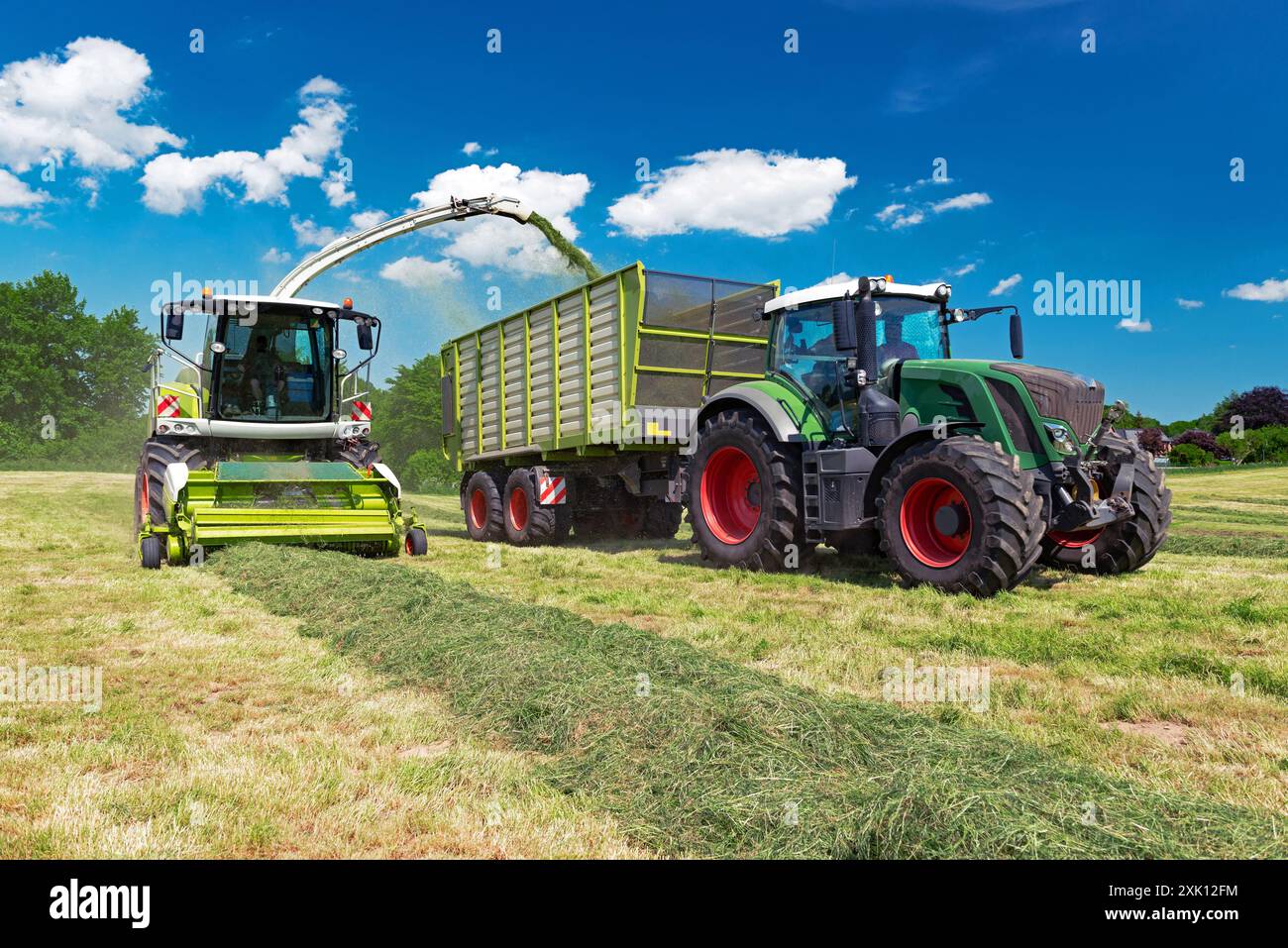 Tractor with loader wagon and hay chopper during harvesting Stock Photo ...