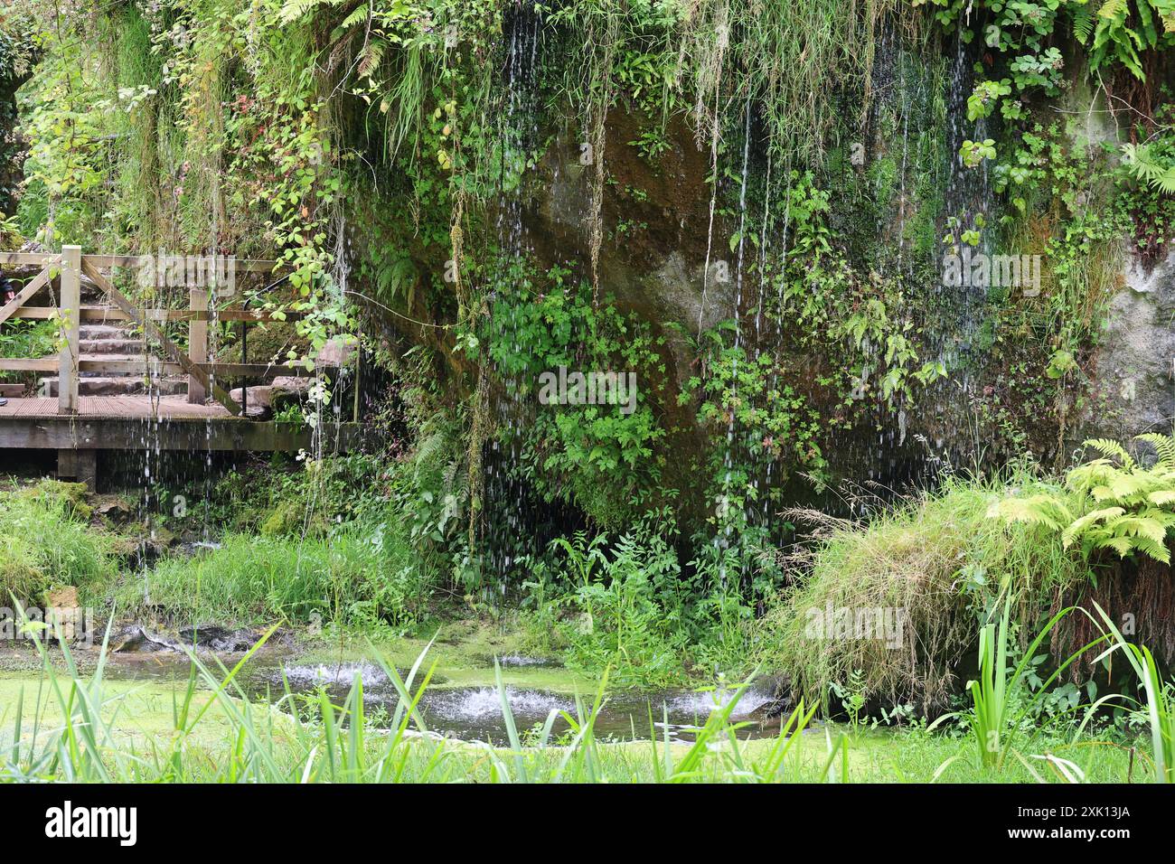 Waterfall in the jungle at Blarney Castle in Blarney, County Cork ...
