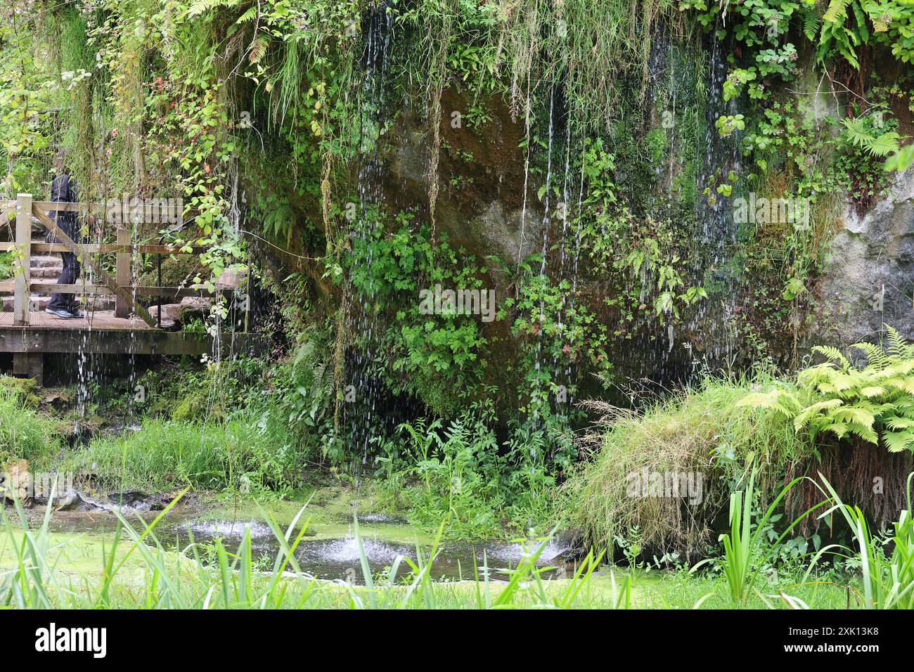 Waterfall in the jungle at Blarney Castle in Blarney, County Cork ...