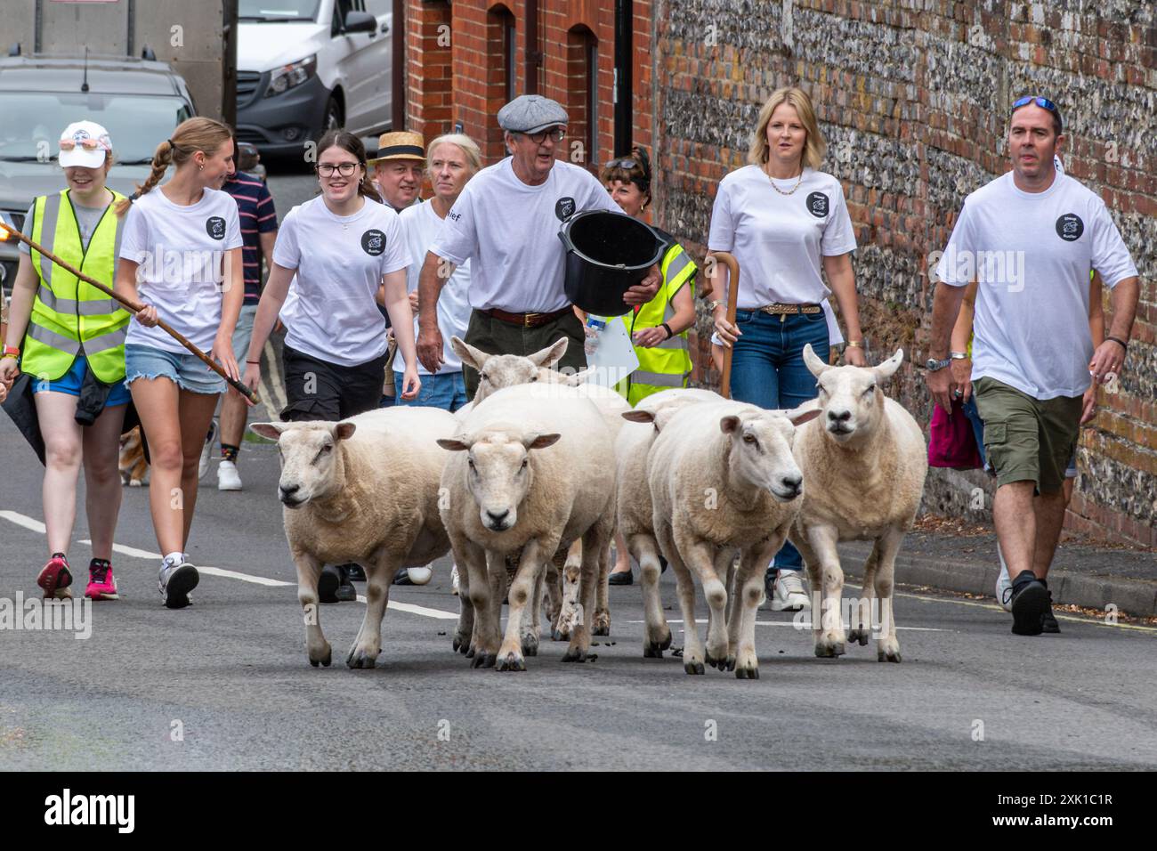 Overton sheep fair 2024 hi-res stock photography and images - Alamy
