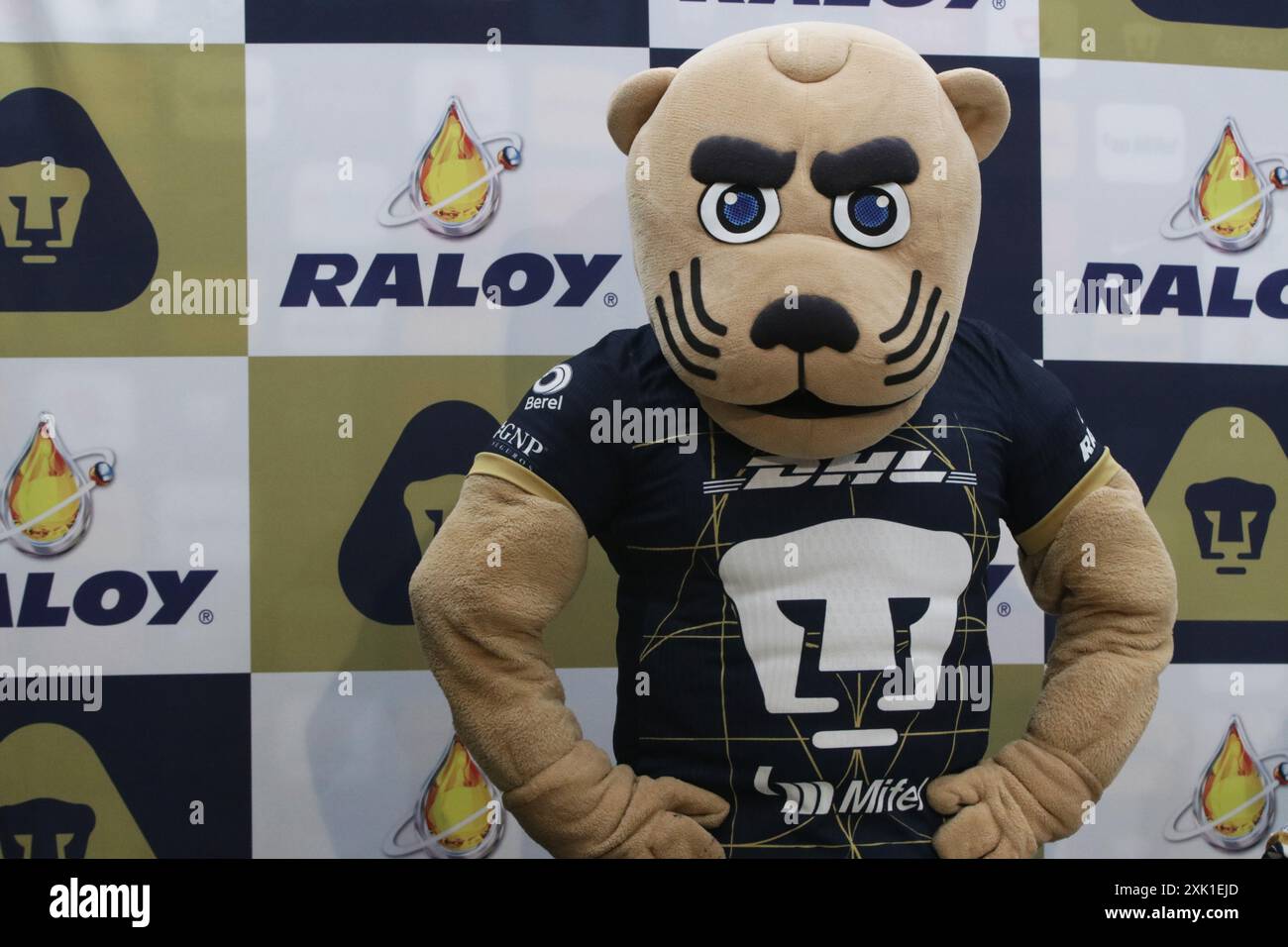 Pumas mascot hi-res stock photography and images - Alamy