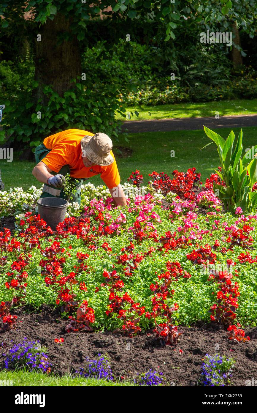 Council gardeners weeding and maintaining the formal floral flower beds ...