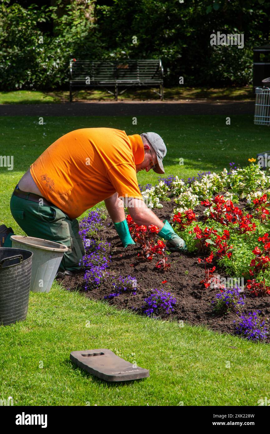 Council gardeners weeding and maintaining the formal floral flower beds ...