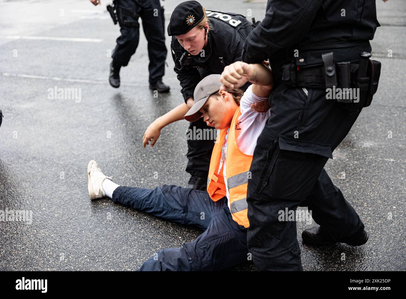 Disobedient Assembly of the Last Generation and the alliance Stop ...