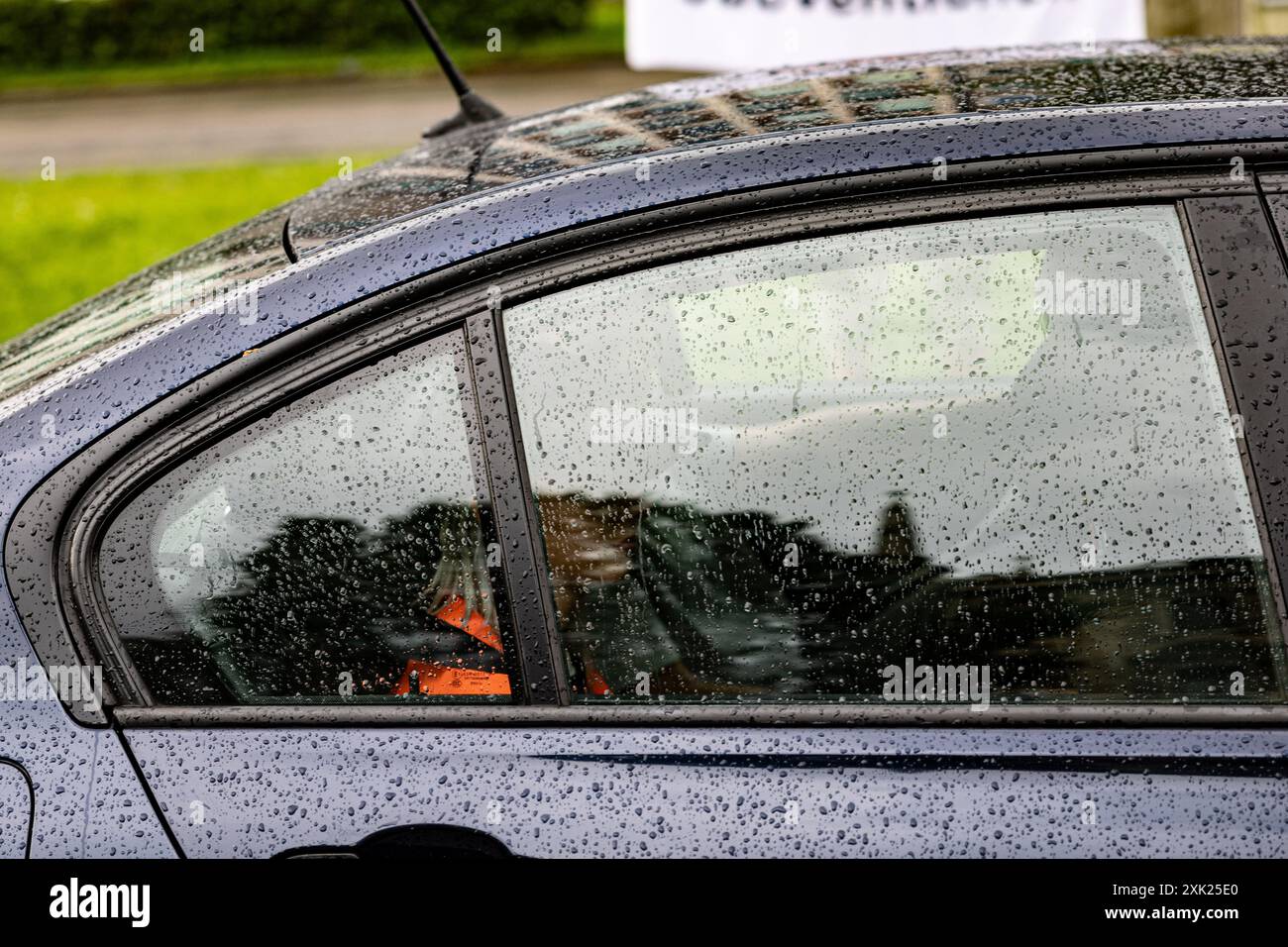 Disobedient Assembly of the Last Generation and the alliance Stop ...