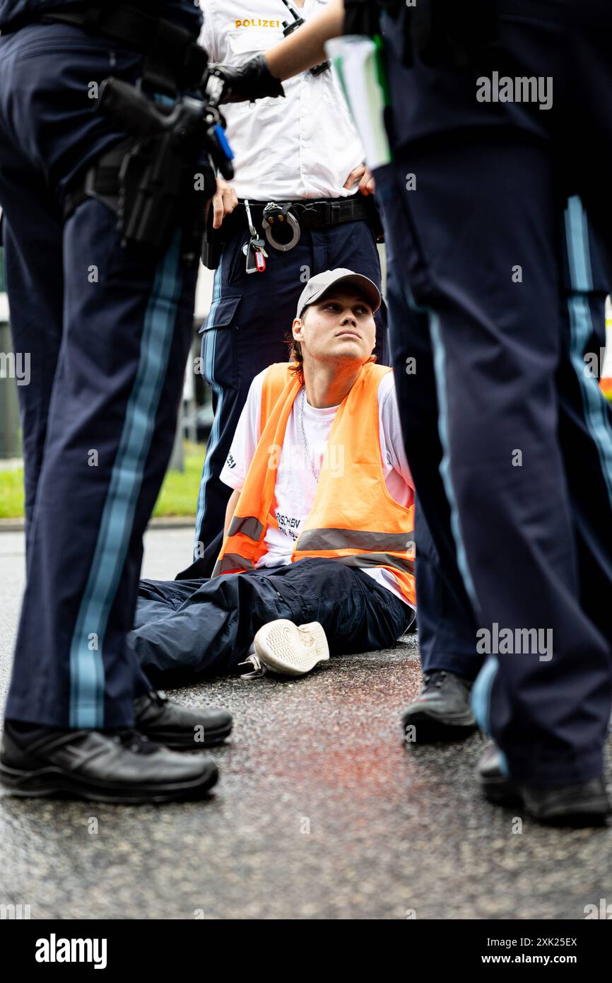 Disobedient Assembly of the Last Generation and the alliance Stop ...