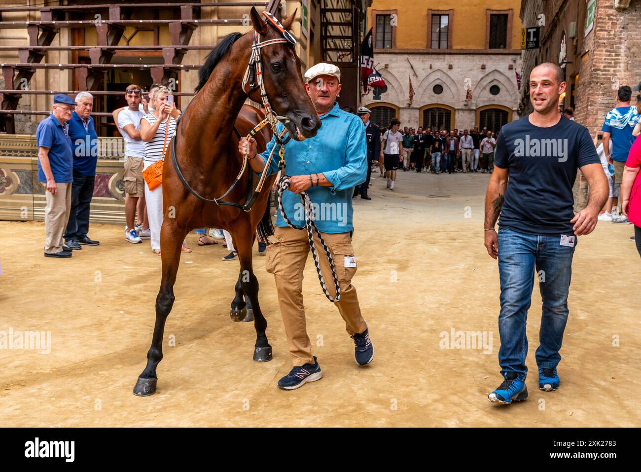 The Lupa (She-Wolf) Contrada and Horse Arrive In The Piazza Del Campo ...