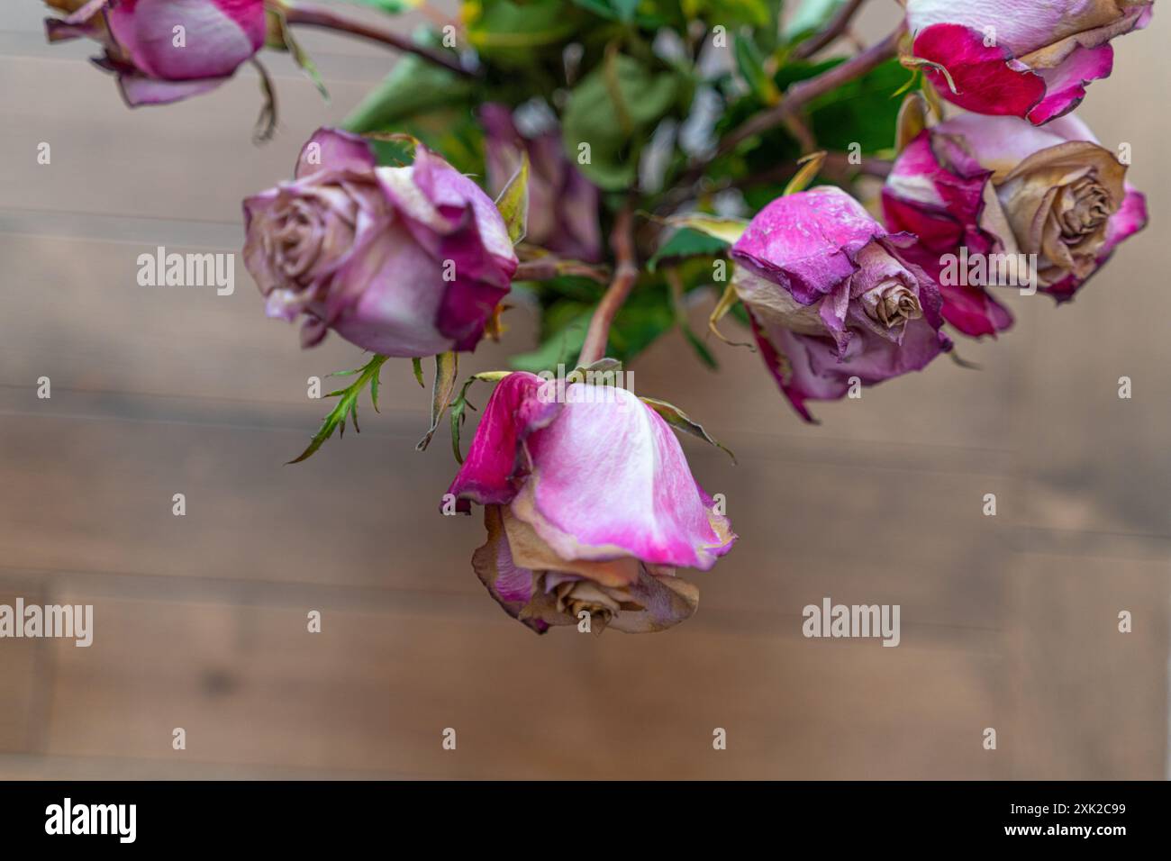 A Withered wilted dried bouquet of red roses Stock Photo - Alamy