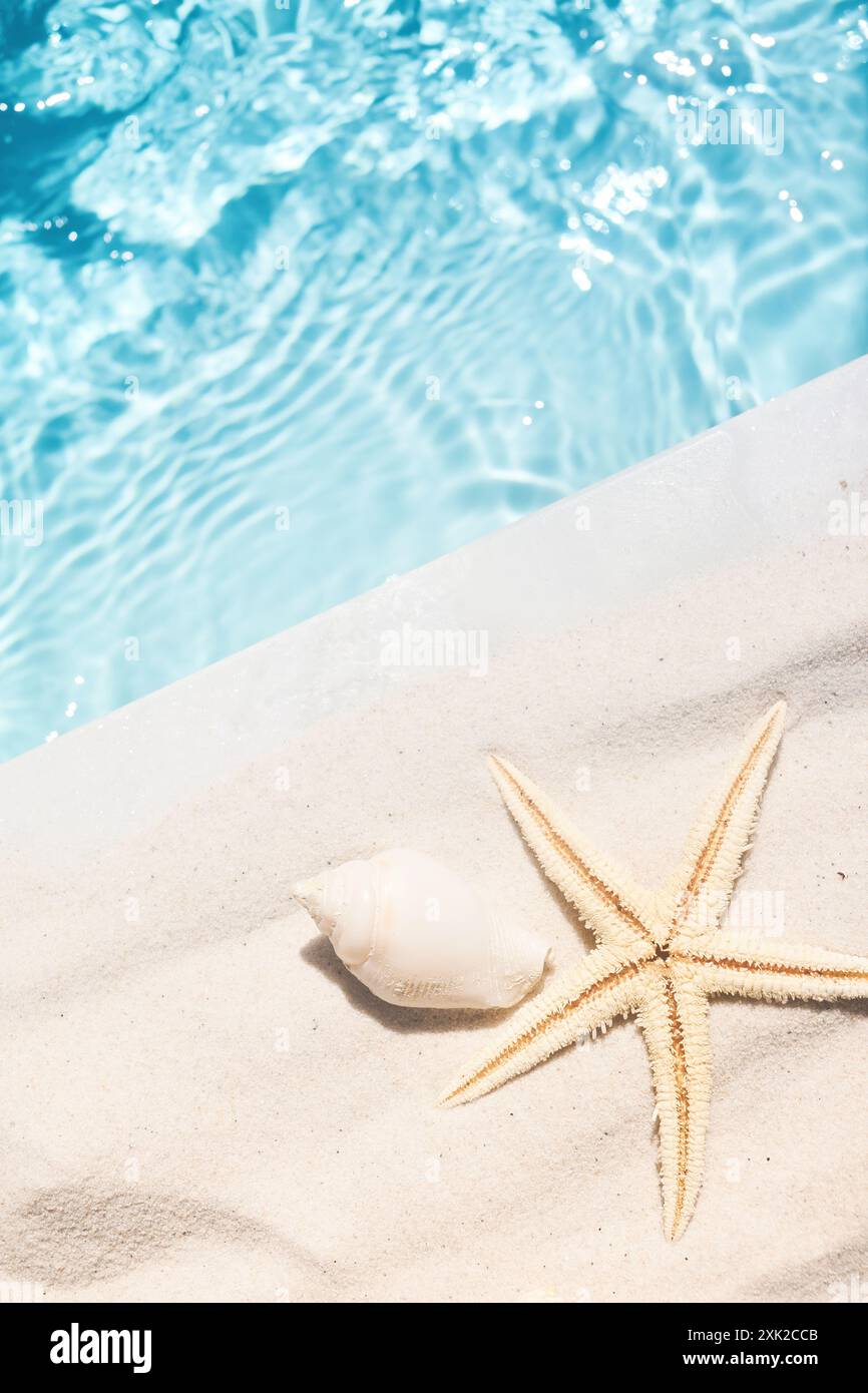 Seaside Delight. A serene seaside scene featuring a starfish and a ...
