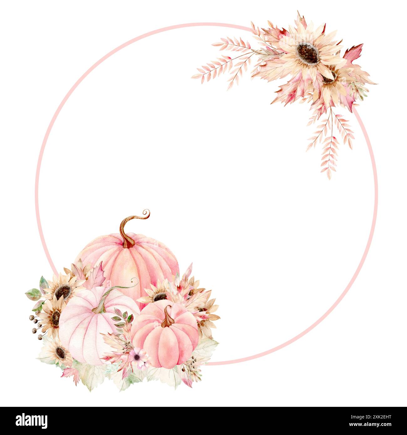 Frame round autumn leaves, flowers and pumpkins on white background ...