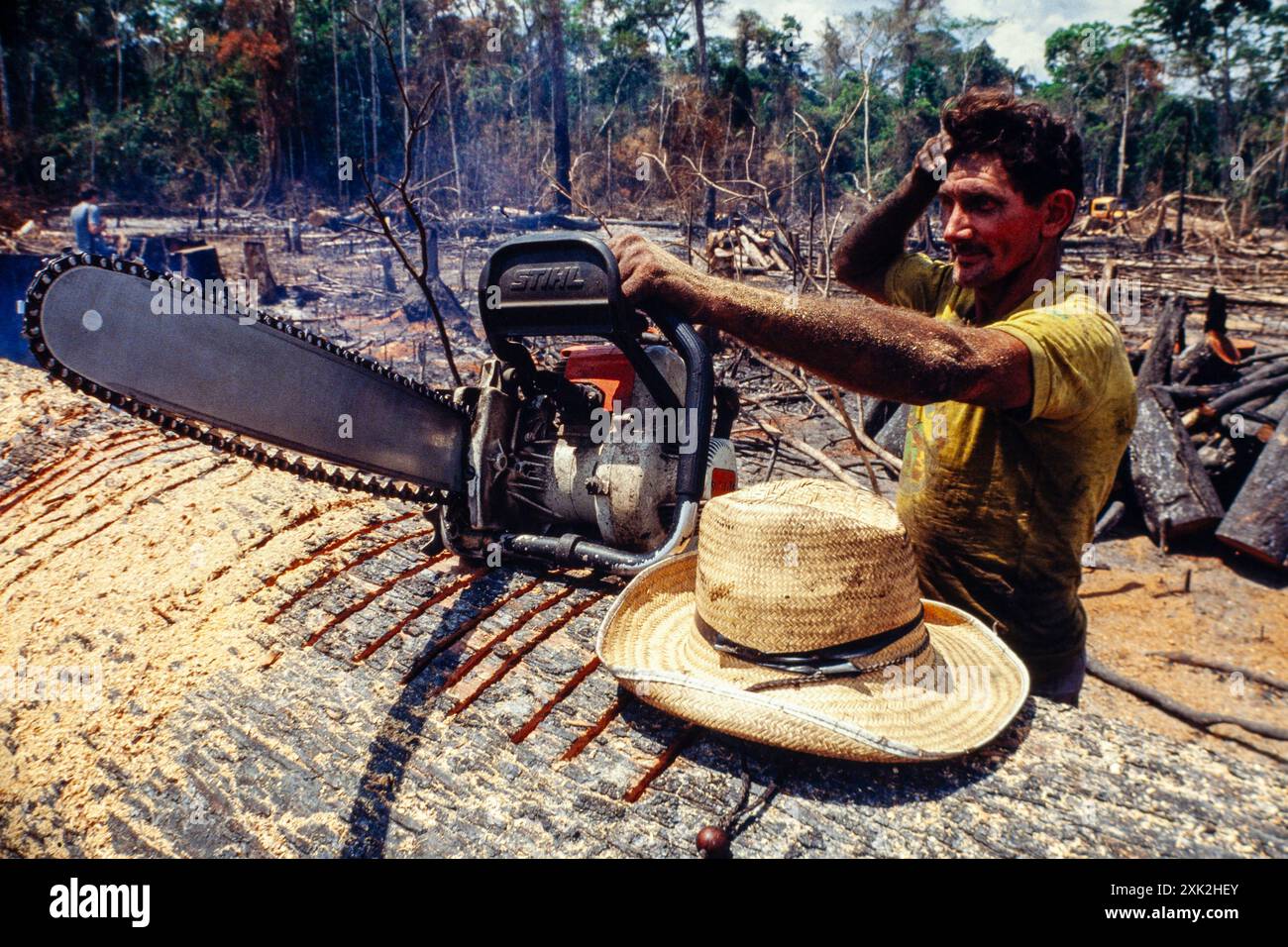 Burning down the amazon hi-res stock photography and images - Alamy
