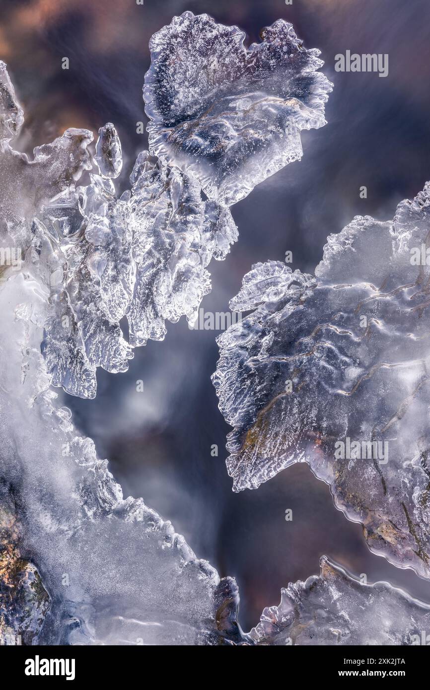 This striking image showcases the delicate and unique ice patterns ...