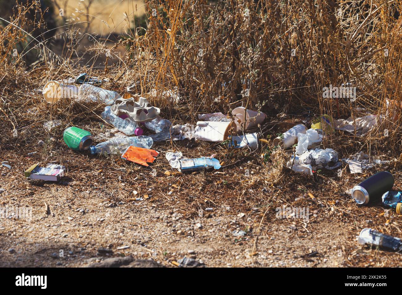 Litter scattered in dry bushes in Spain, highlighting environmental ...