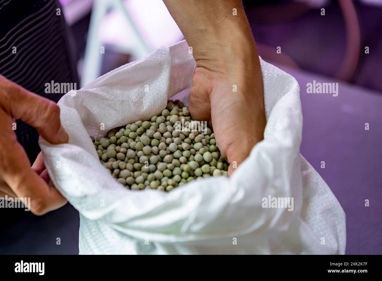 Planting pea seed container hi-res stock photography and images - Alamy