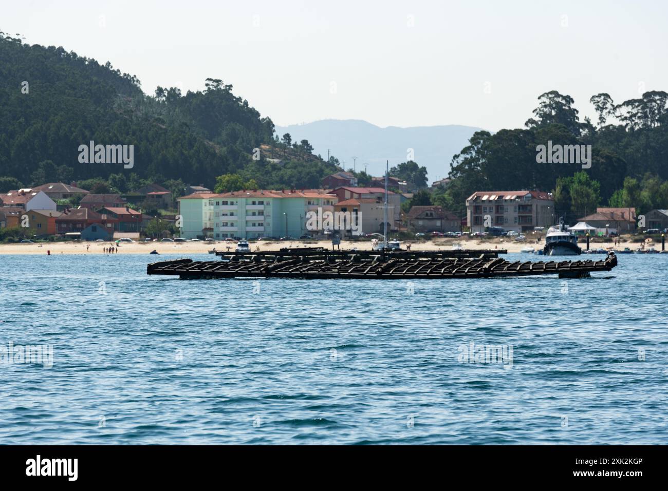 A serene image capturing floating mussel farming platforms near a ...