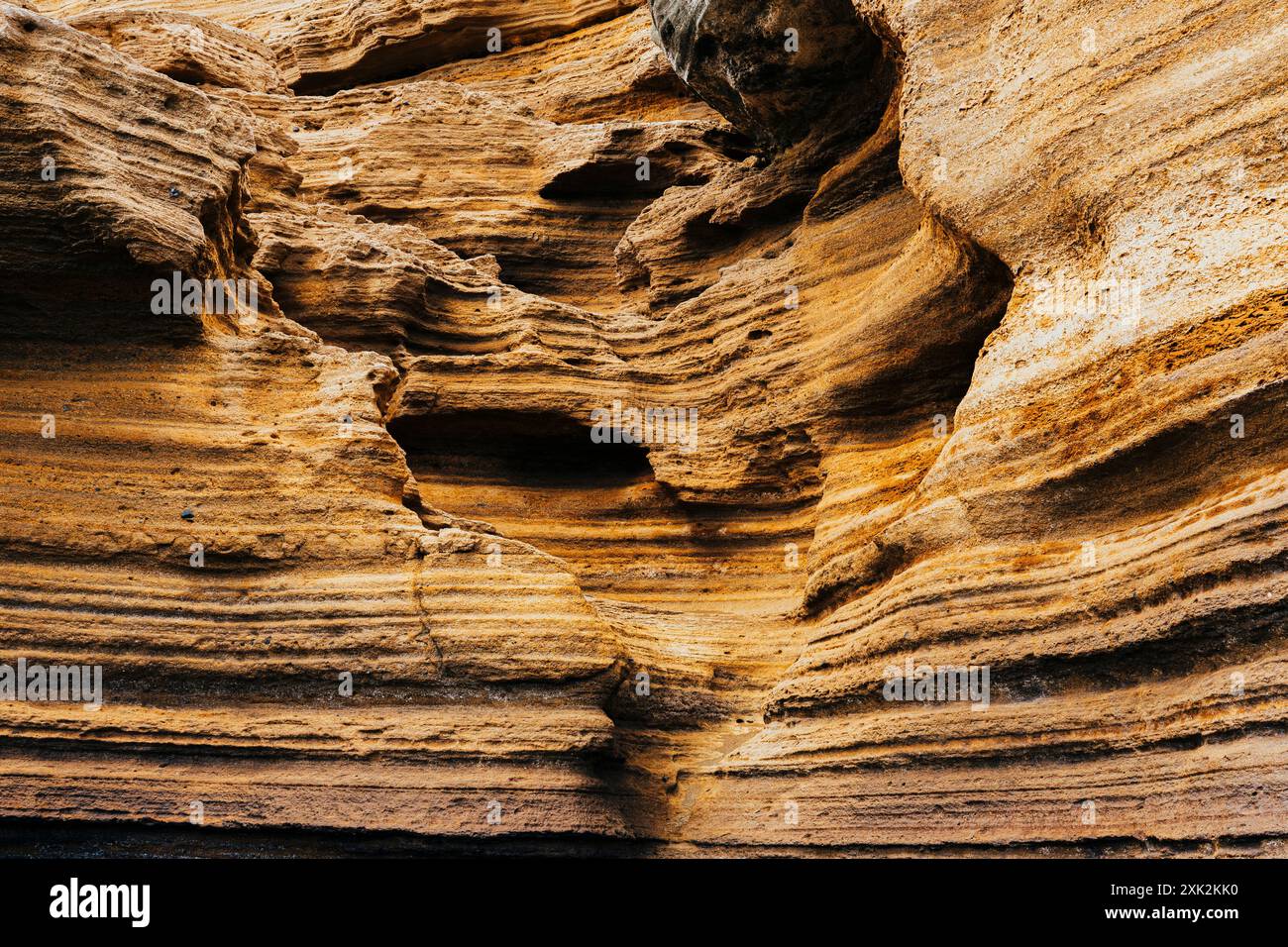 Explore the essence of summer adventure with this stunning image ...