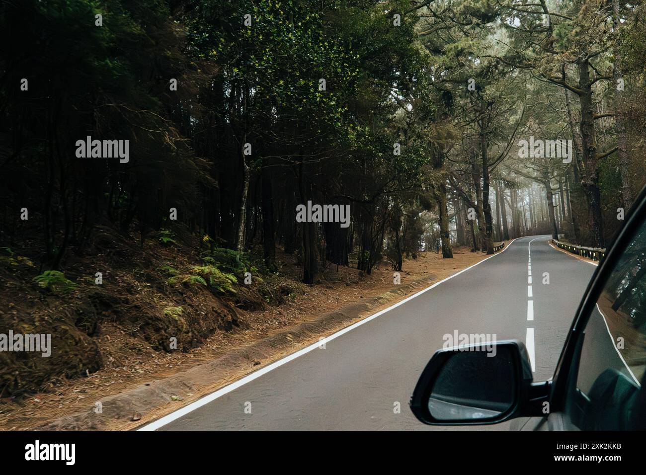 A captivating view through a car window of a winding road surrounded by ...