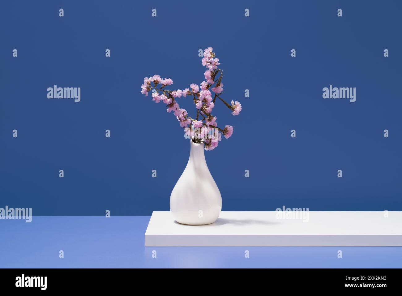 A delicate display of pink Limonium sinuatum, Statice, flowers in a ...