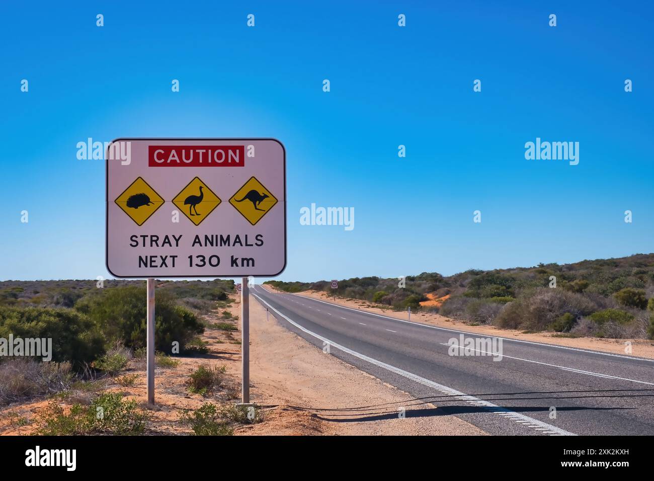 Traffic warning sign: caution, stray animals. With an image of an ...
