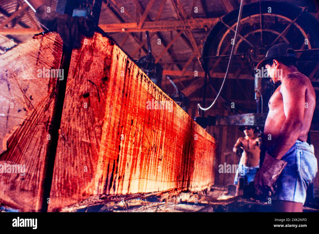 Sawmill workers at a Rio Branco facility in Acre State, Brazil, operate ...