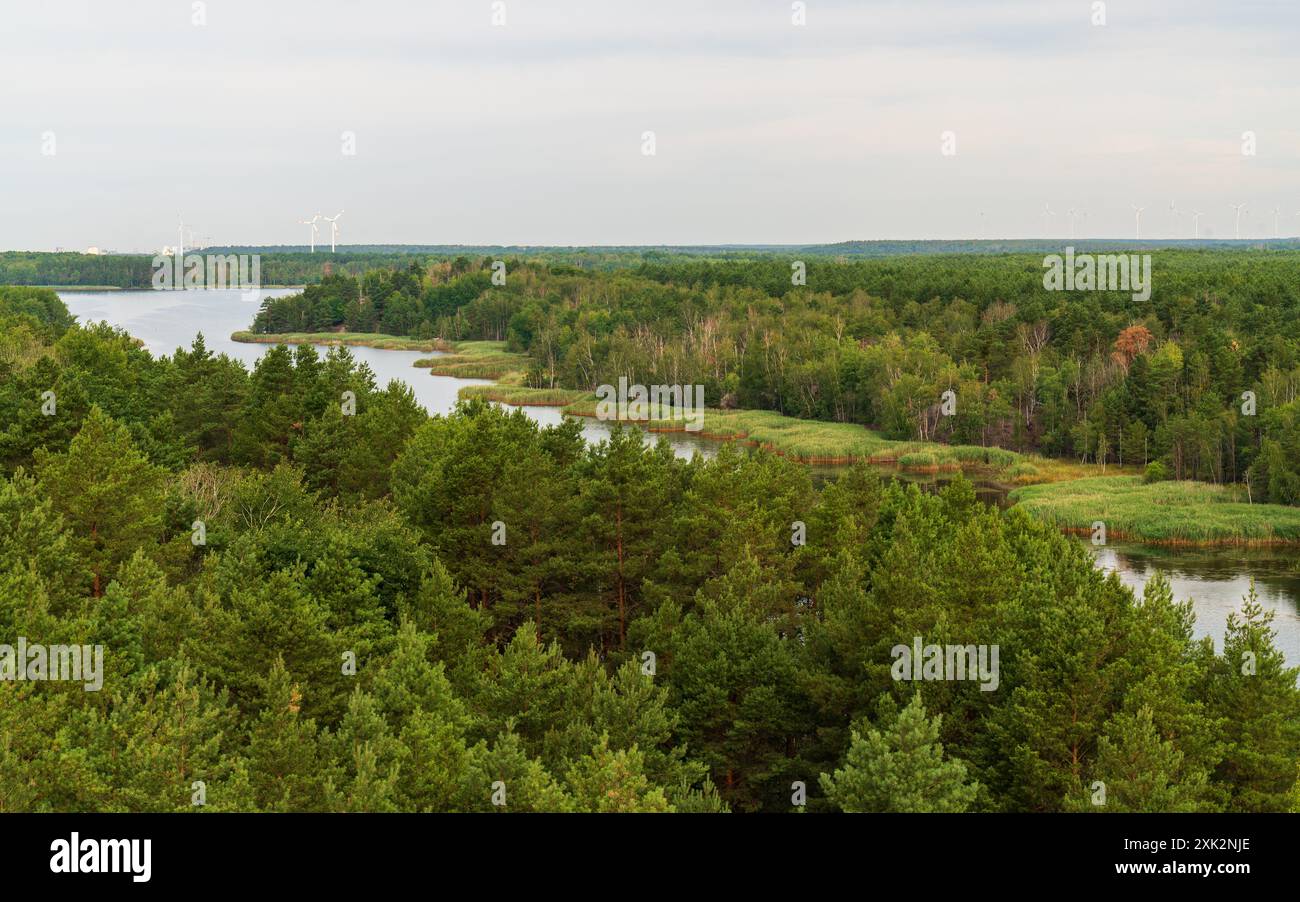 aerial drone of Lake Senftenberg, green forests. Senftenberg Lake ...