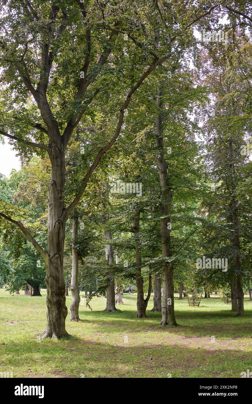 Stromovka Royal Game Reserve, large park in the Bubenec district of ...