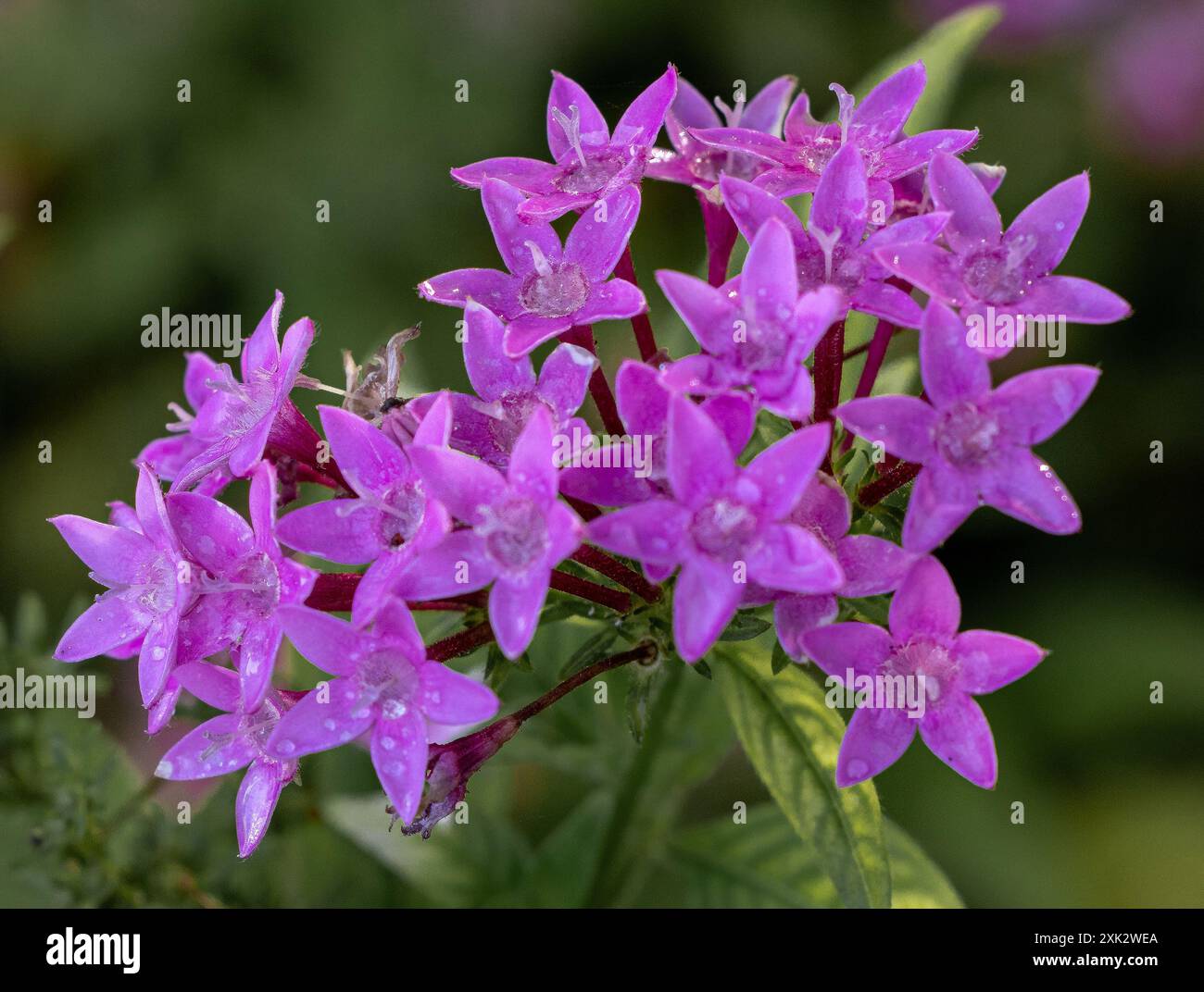 my pictures of everuthing and anything..all over the world Stock Photo ...