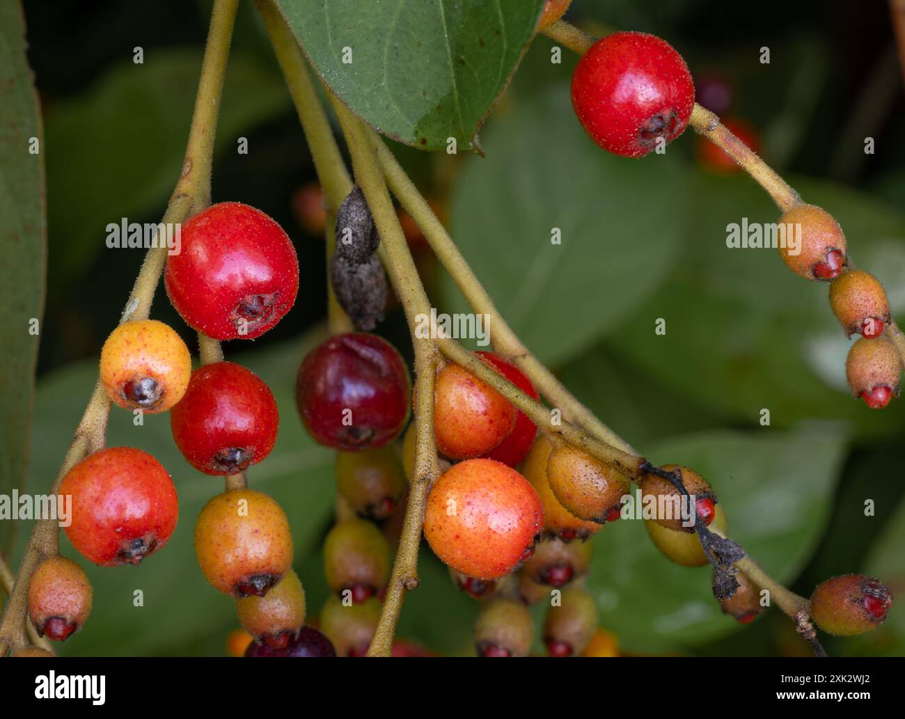 my pictures of everuthing and anything..all over the world Stock Photo ...