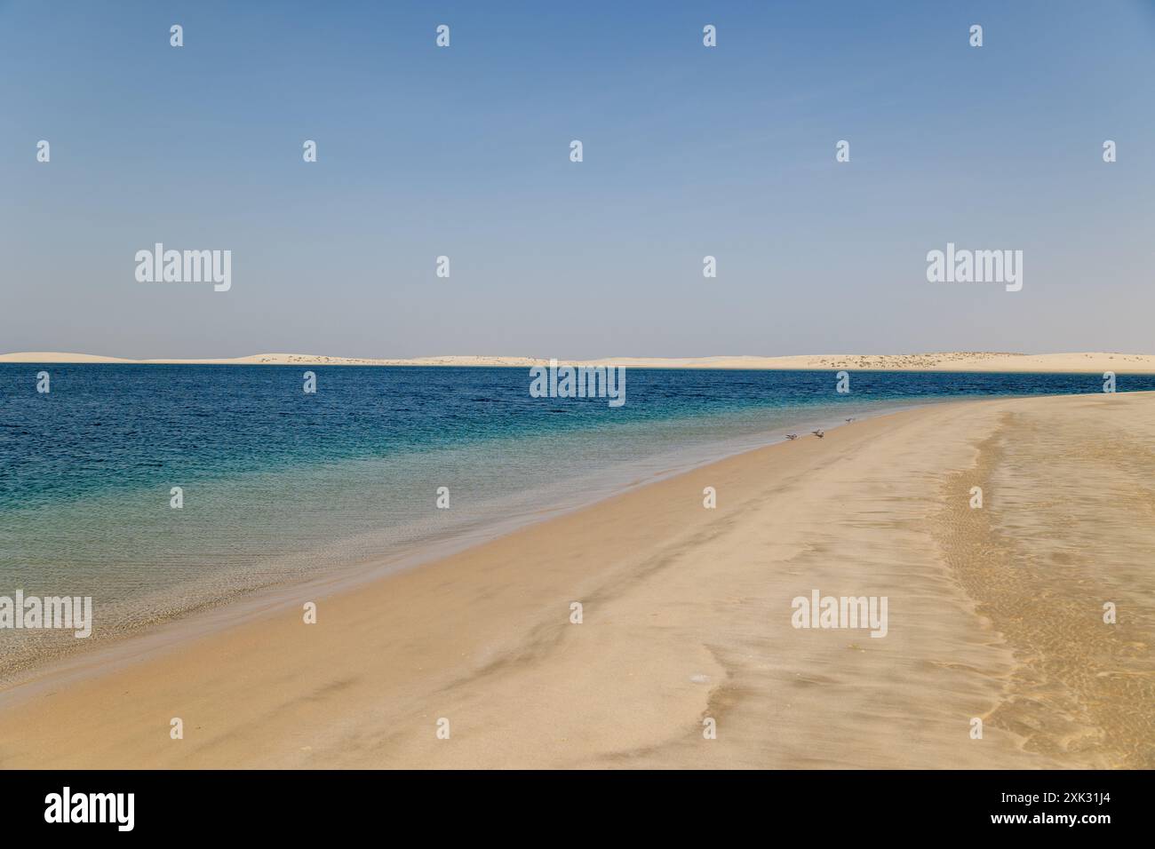 Khor al adaid qatar hi-res stock photography and images - Alamy