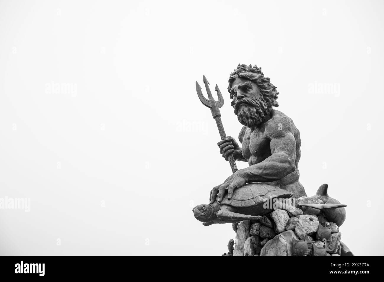 Sea creatures Black and White Stock Photos & Images - Alamy