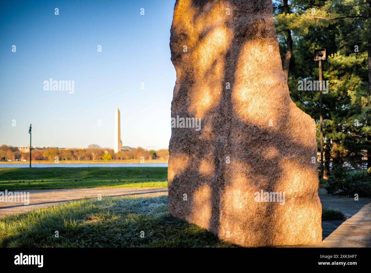 Lady bird johnson memorial grove hi-res stock photography and images ...
