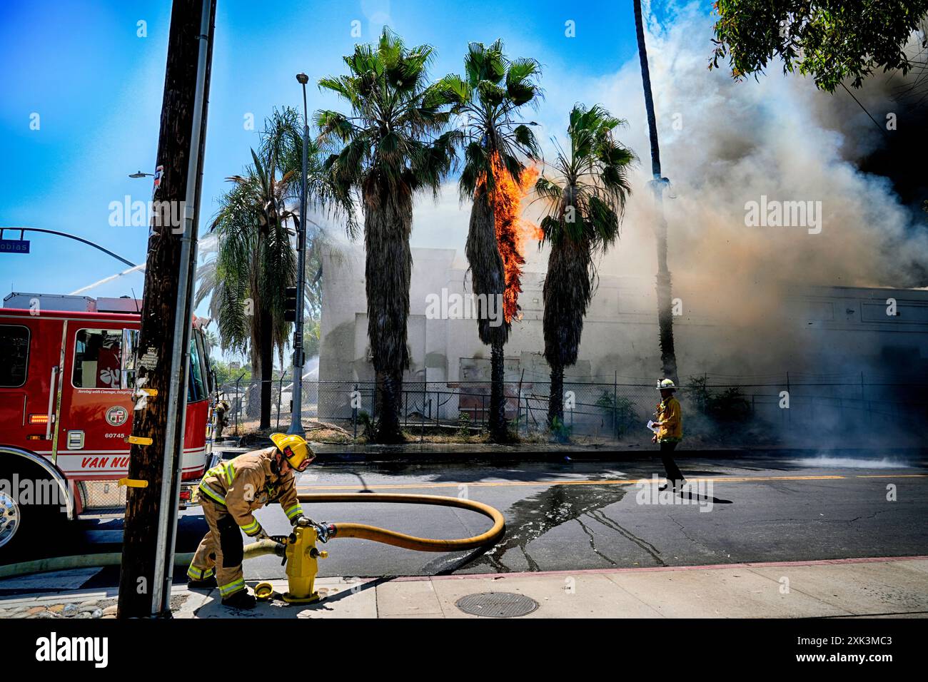 A palm tree catches fire as Los Angeles firefighters battle a blaze in a vacant single-story ...