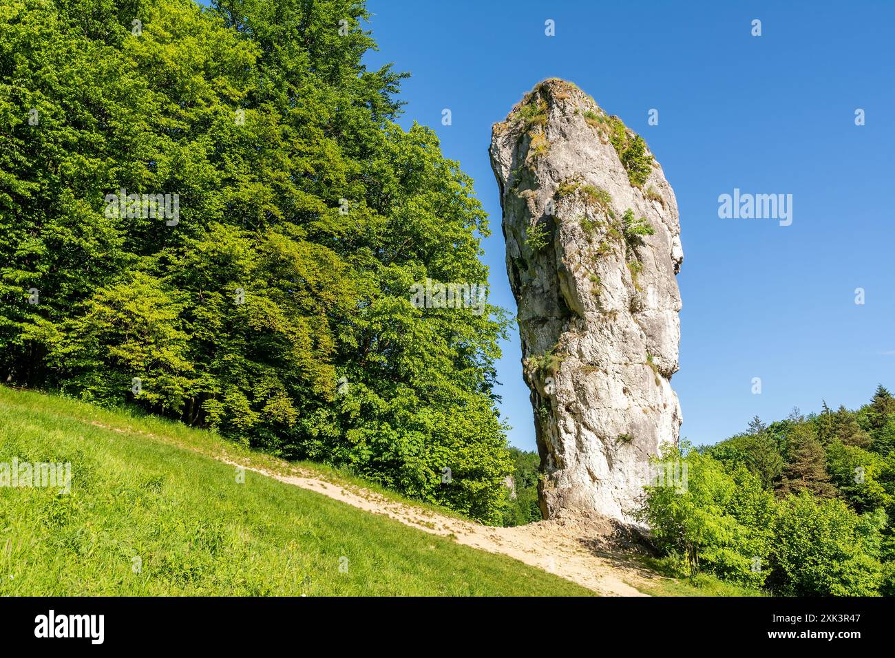 Rock "Hercules Mace" in Pieskowa Skala (Poland Stock Photo - Alamy