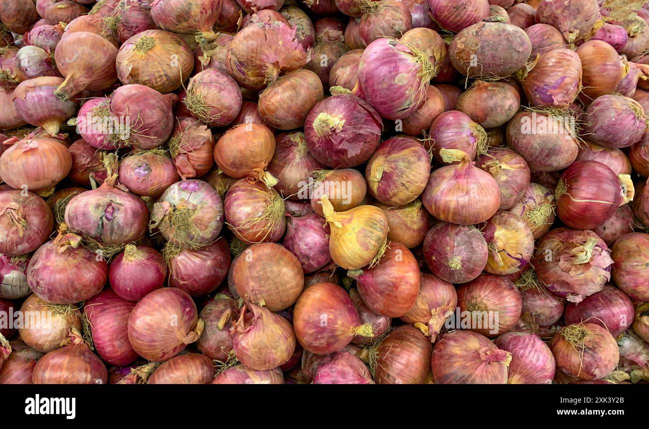 Top view of red onions displayed in supermarket. Healthy food concept ...