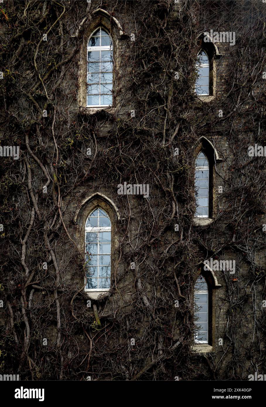 Gothic windows hi-res stock photography and images - Alamy