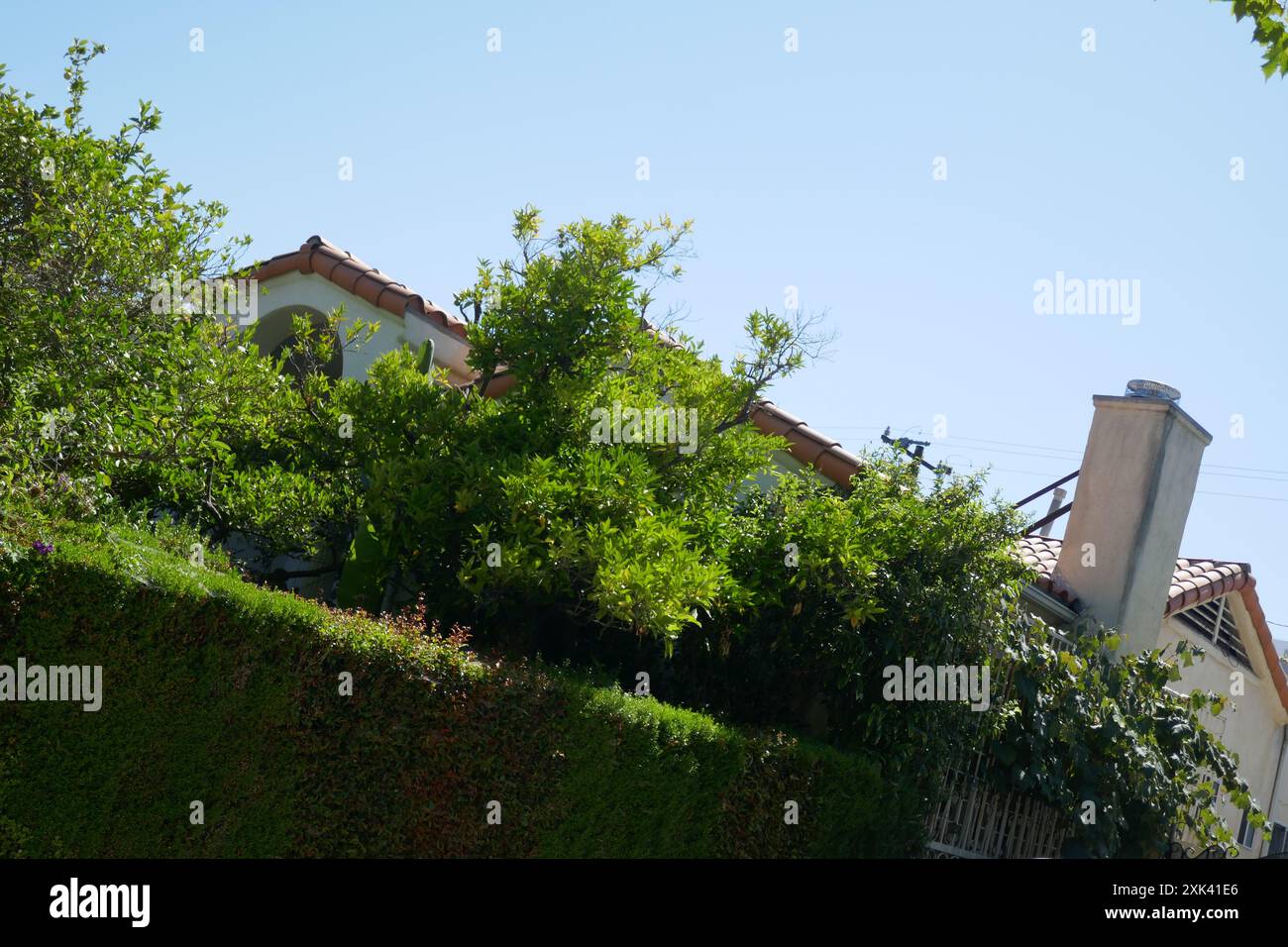 Beverly Hills, California, USA 20th July 2024 Actress Clara Bow Former ...