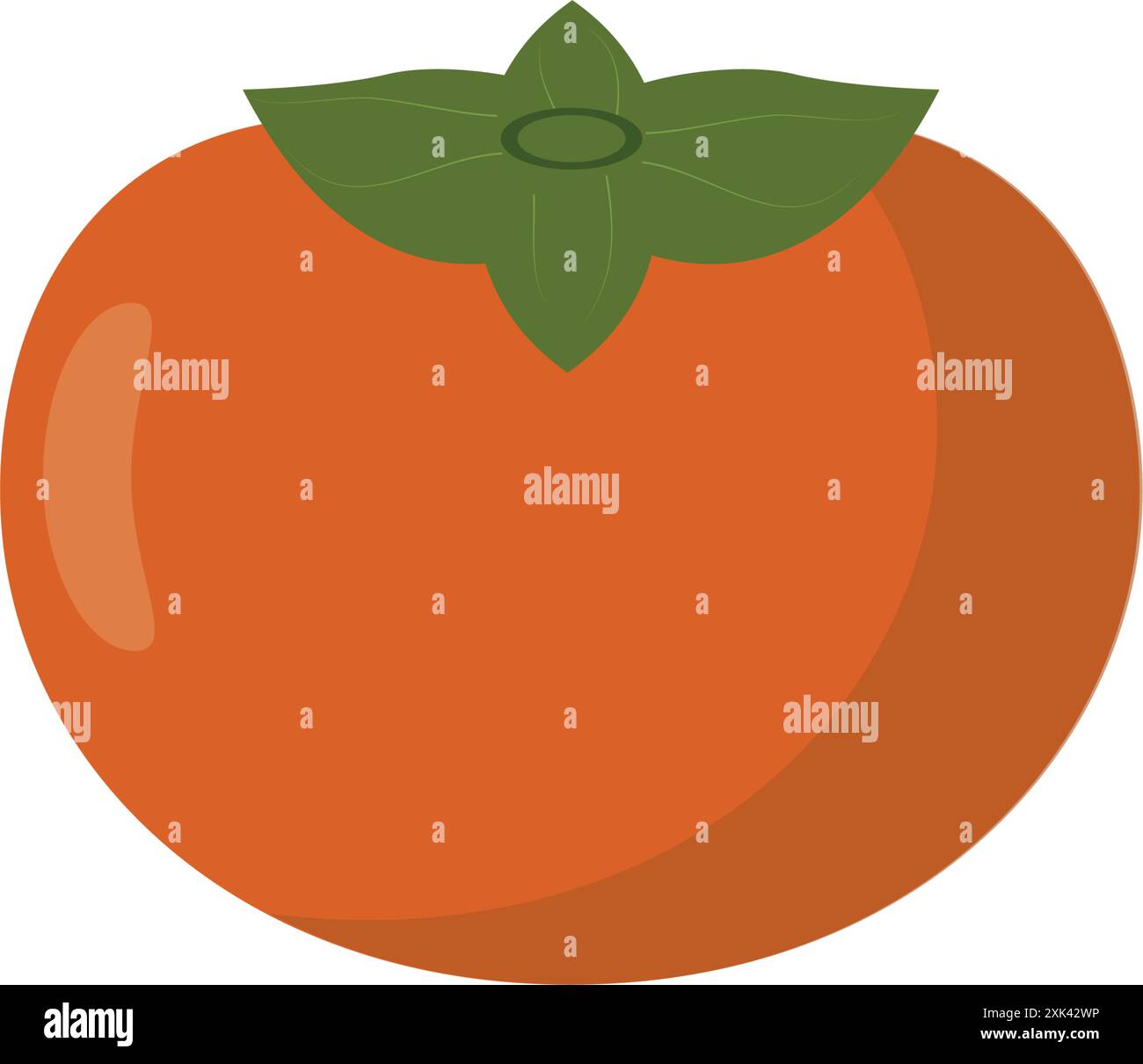 Persimmon cartoon vector. Persimmon on white background Stock Vector ...