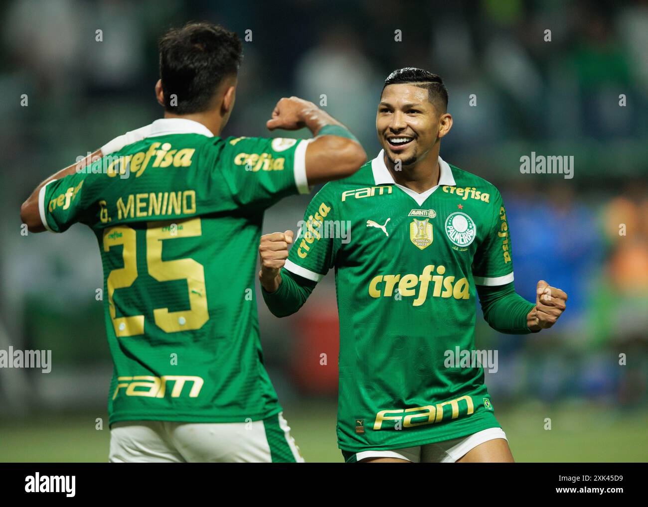 Sao Paulo, Brazil. 20th July, 2024. Soccer Football - Brazilian ...