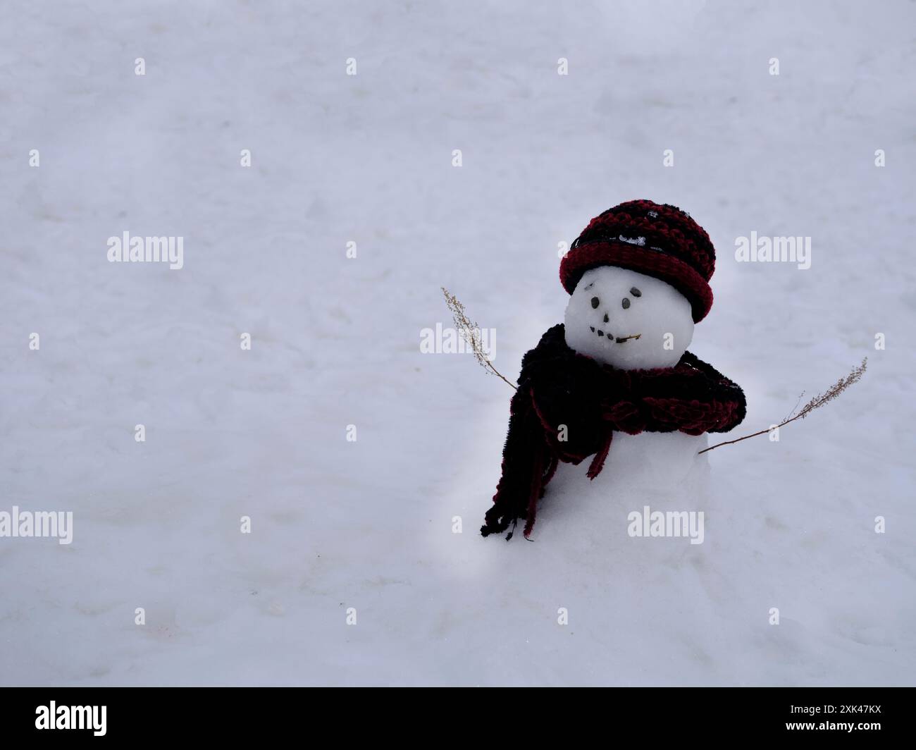Snowman in a field hi-res stock photography and images - Alamy