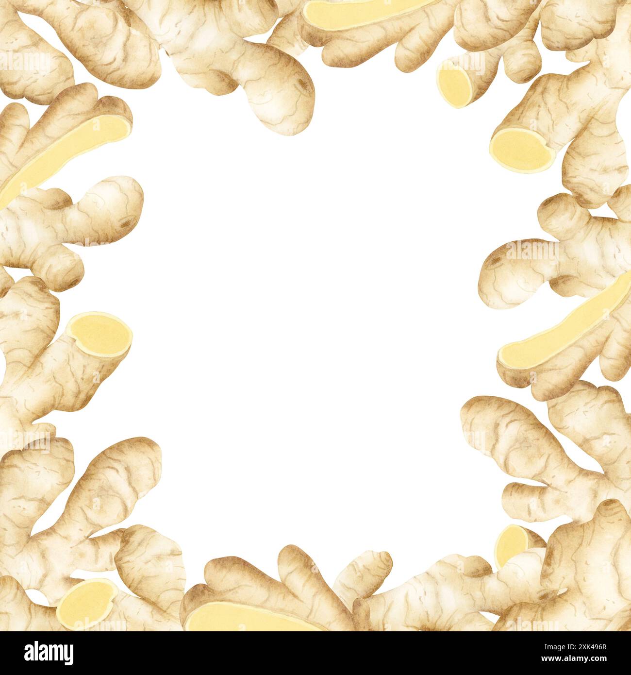 Watercolor ginger roots square frame watercolor illustration isolated ...