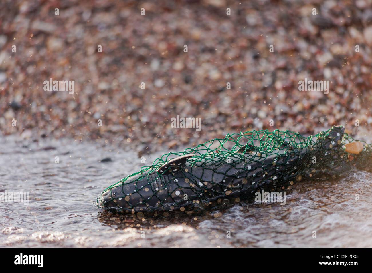 Toy whale shark entangled in a fishing net. World's oceans pollution ...
