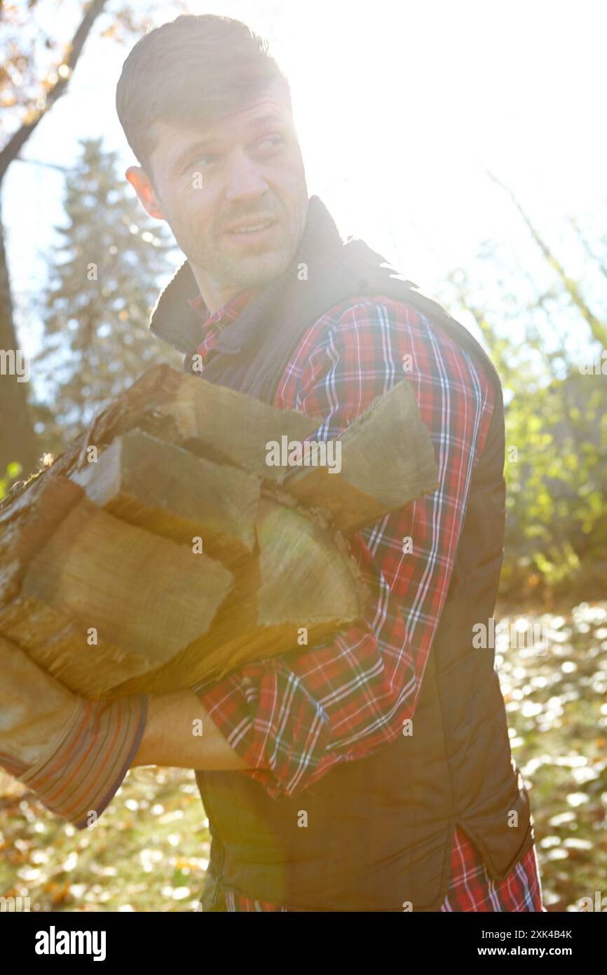 Collecting wood, deforestation and lumberjack man in forest for ...