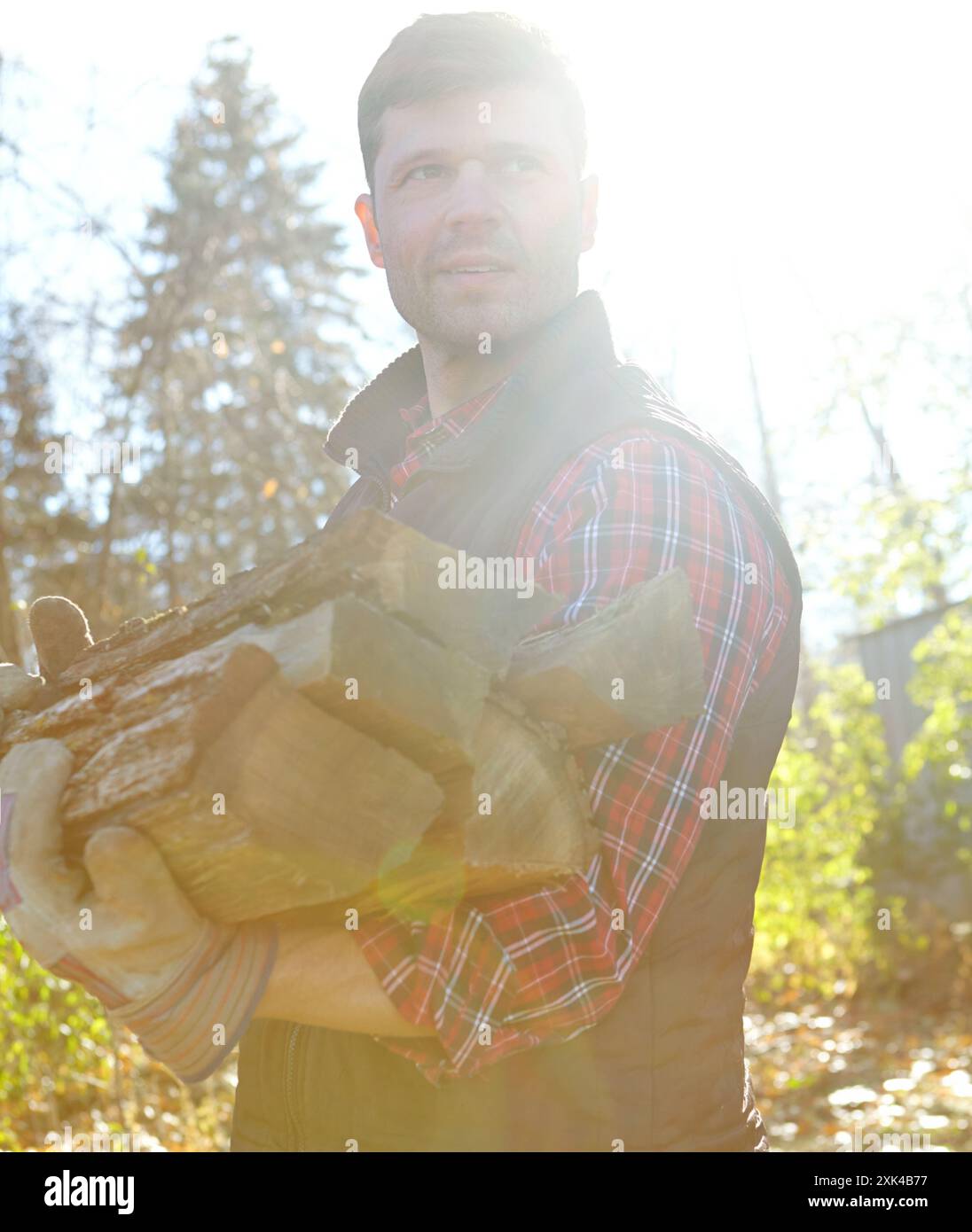 Carrying wood, sustainability and lumberjack man in forest for industry ...