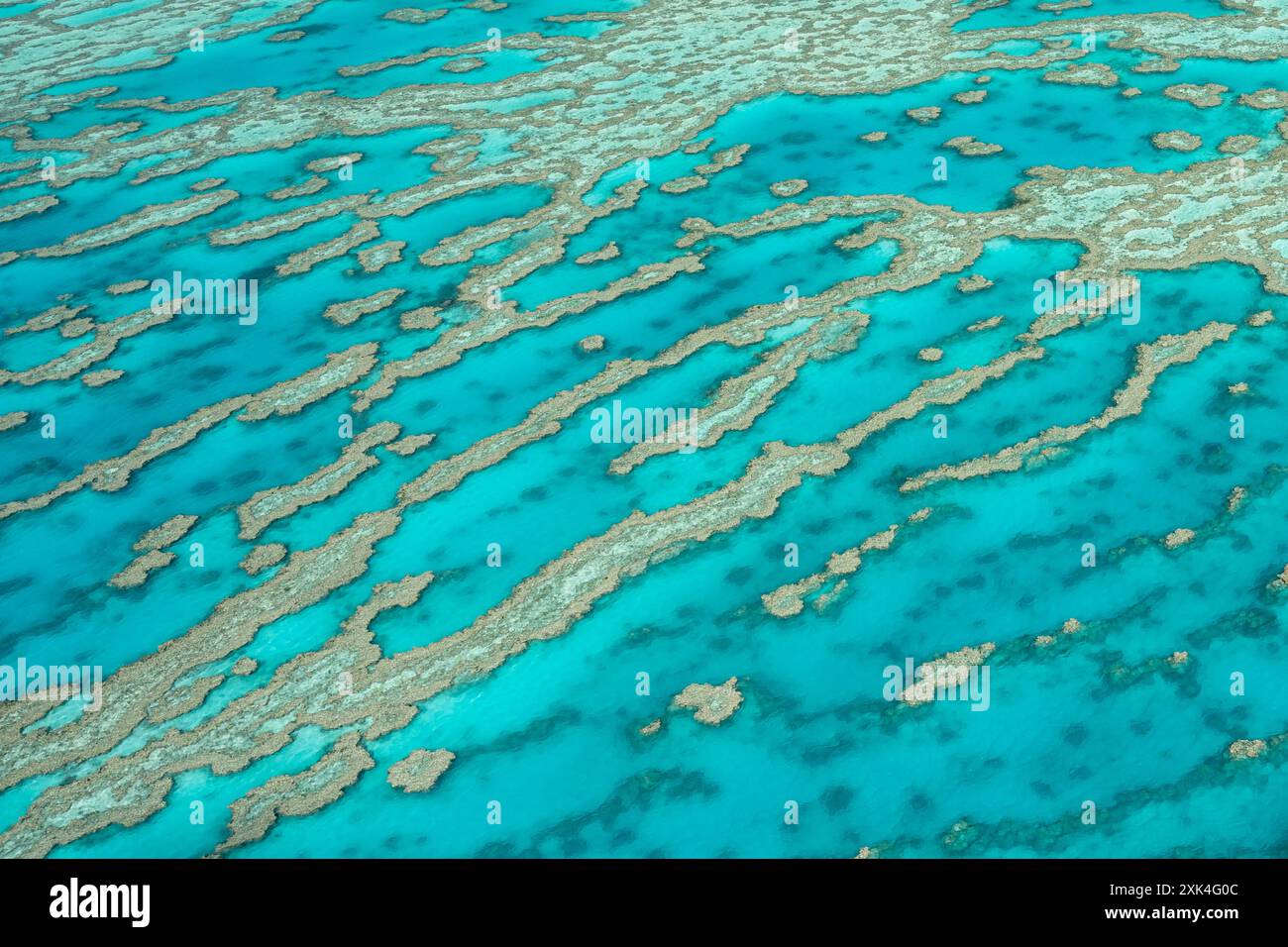 Reef patterns hi-res stock photography and images - Alamy