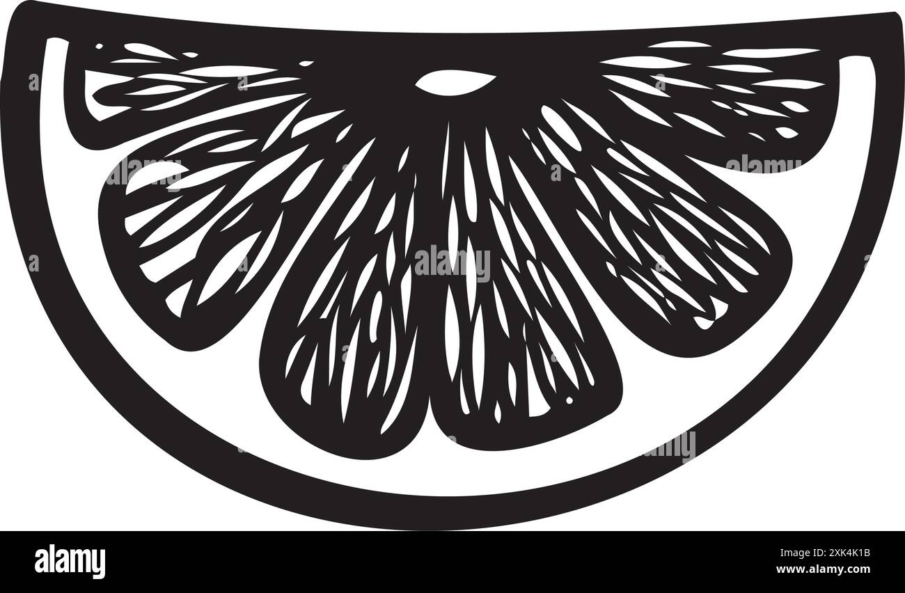 Lemon slice line drawing isolated on white background Stock Vector ...